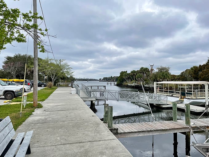 Crystal River Preserve State Park's boardwalk invites visitors to venture into coastal wetlands where time slows and nature's soundtrack replaces city noise.