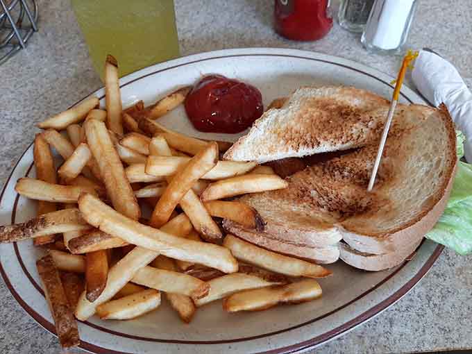 This sandwich means business, arriving with enough fries to feed a small army or one very determined diner with excellent priorities.