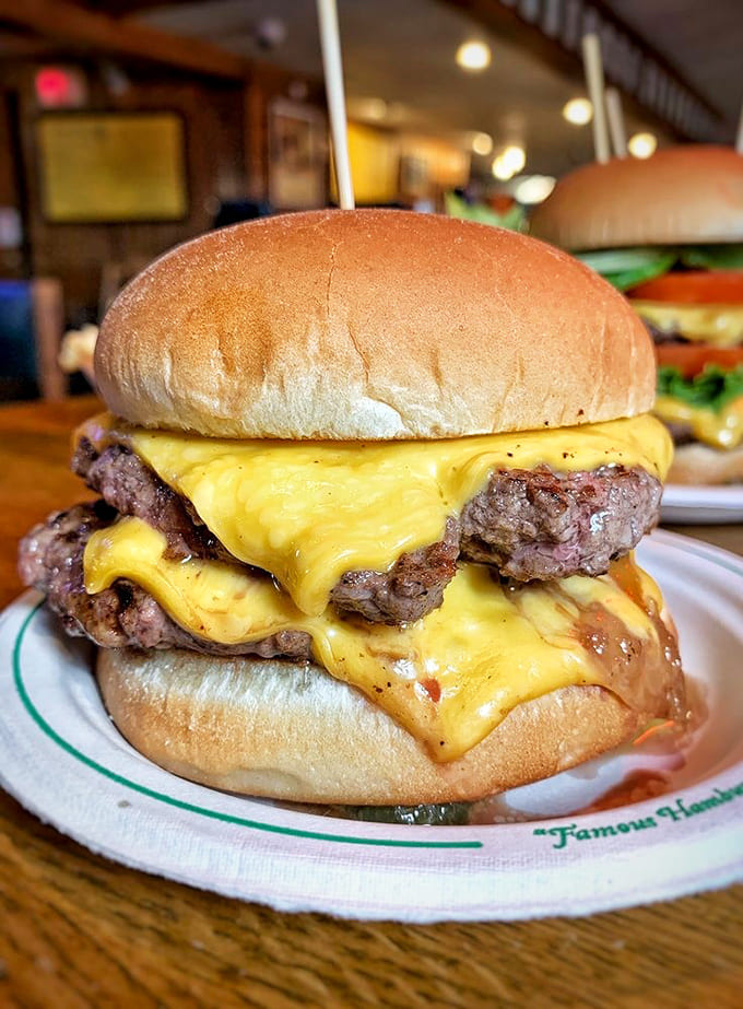 Behold the Double Cheeseburger in all its glory, with cheese cascading down two perfectly cooked patties like a delicious dairy waterfall.
