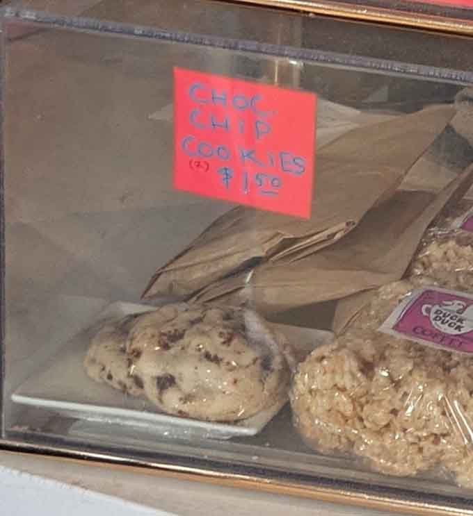 Golden-brown perfection with chocolate chips distributed like tiny treasures, these cookies understand the assignment and exceed all expectations beautifully.