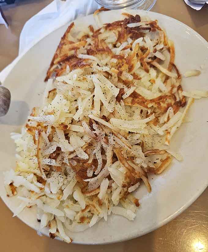 Behold the golden-brown perfection that has made Elly's hash browns legendary throughout the Chicago suburbs.