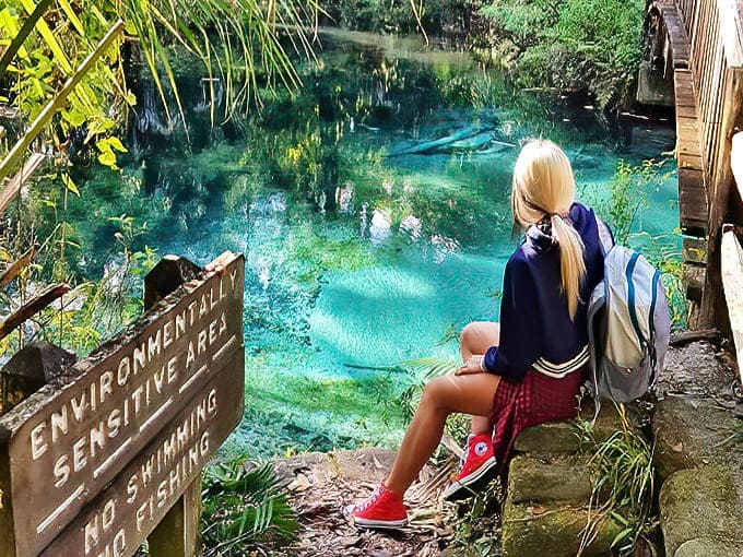 A moment of quiet contemplation beside waters so blue they seem artificially enhanced. The "No Swimming" sign – nature's ultimate tease.
