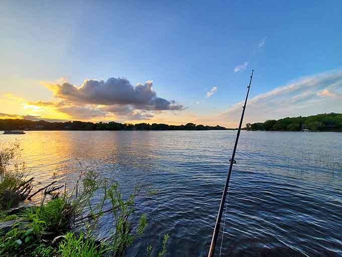 Golden hour fishing hits different when your office view includes water that actually moves and trees that aren't potted.