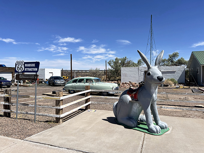 The iconic jackrabbit statue stands sentinel outside, having photobombed family vacation albums for generations of Route 66 adventurers.