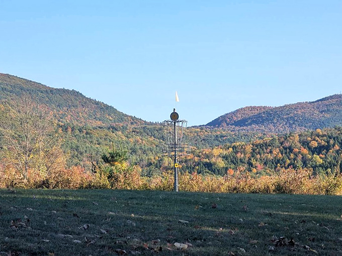 Fore! The disc golf course offers a perfect excuse to wander through woods while pretending you meant to hit that tree.