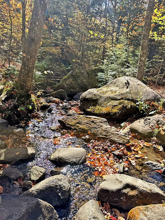 This babbling brook doesn't just add soundtrack to your hike – it's nature's own spa treatment for trail-weary souls.