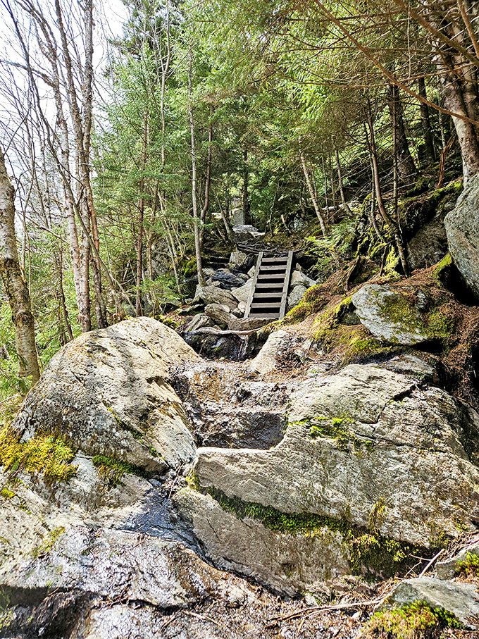 Nature's staircase challenging hikers with rocky steps that have witnessed countless "I need a minute" breathers over the years.