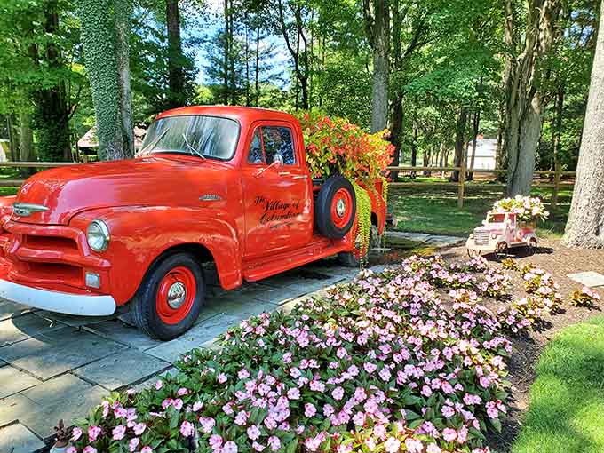 This cherry-red vintage pickup truck has retired from hauling cargo to become a permanent garden resident, now carrying only flowers and nostalgic charm.
