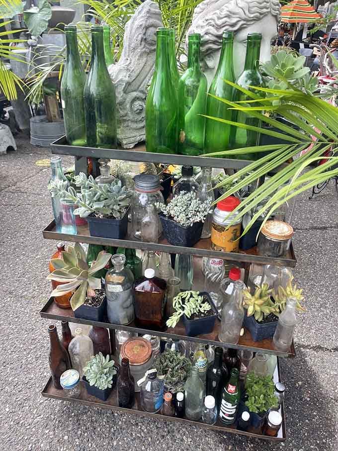 Succulents find new purpose in vintage bottles and containers, proving that sometimes the best planters are the ones that have already lived interesting lives.