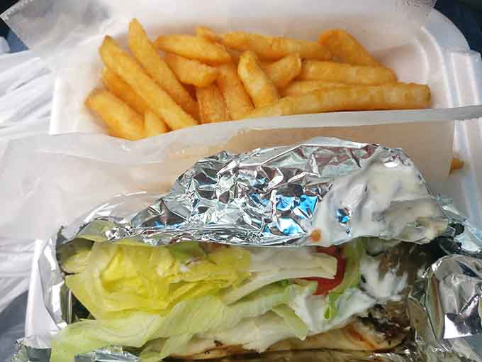 Behold the gyro in all its glory: meat, sauce, vegetables, and fries working together like a perfectly choreographed culinary symphony.