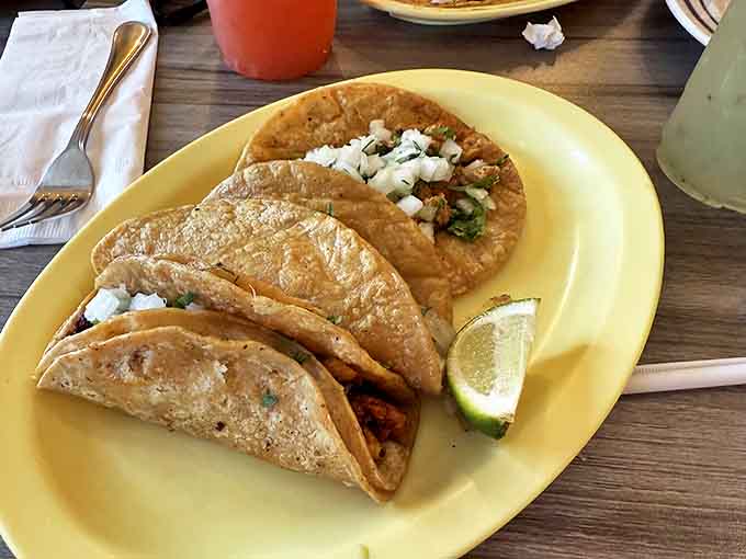 Golden, crispy-shelled tacos arrive perfectly constructed, each one a self-contained flavor bomb waiting to be devoured with enthusiasm.