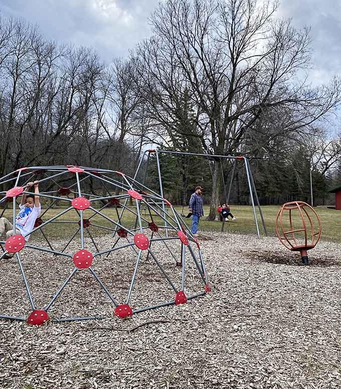 That playground equipment has seen more joy than a golden retriever at a tennis ball factory, and the setting doesn't hurt either.
