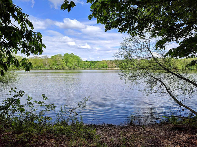 Dawson Lake's tranquil waters invite contemplation. Even the clouds seem to pause here for a moment of reflection.