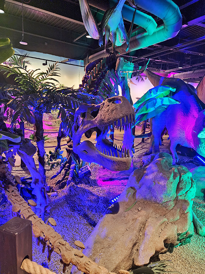 Bathed in ethereal blue light, this massive skeleton looms overhead. Standing beneath these ancient bones gives visitors a humbling sense of prehistoric scale.