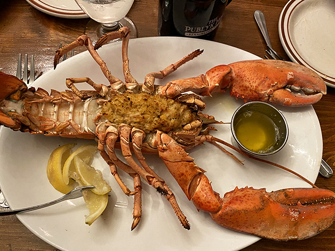 This isn't just any lobster, this is the star of the show, perfectly prepared and waiting for its butter bath.