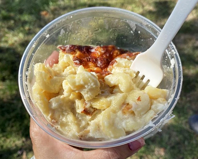 Mac and cheese nirvana! Creamy, golden perfection that's worth driving across state lines to experience firsthand.