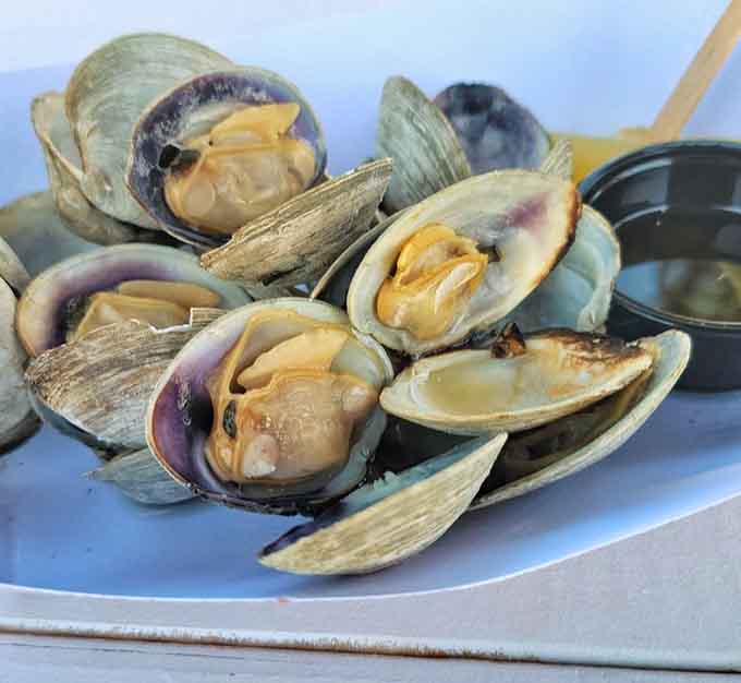 Fresh clams ready for their close-up, plump and perfect, just waiting to hit the grill and transform into something magical.