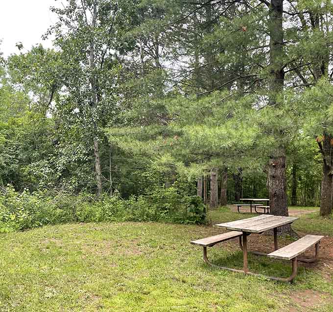 Picnic tables positioned for maximum serenity, where your biggest dining companion might be a curious chipmunk.