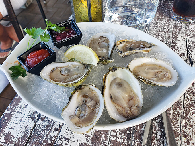 These glistening gems of the sea arrive perfectly shucked and nestled on ice – briny, sweet, and practically still swimming.
