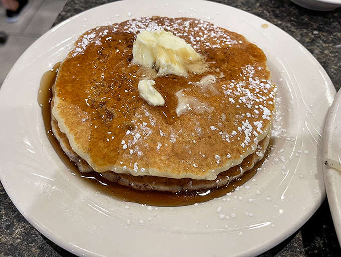 Behold the classic pancake in all its golden glory, dusted with powdered sugar like it's auditioning for a breakfast magazine cover.
