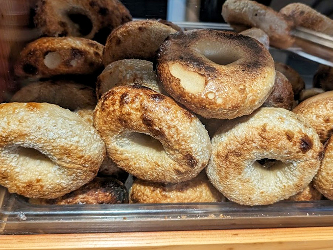 Golden-brown beauties with blistered crusts that whisper promises of that perfect chewy interior waiting inside.