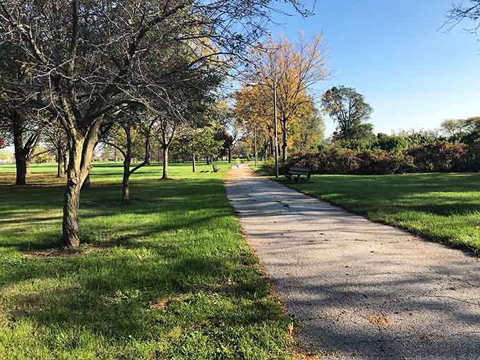 This pathway through the dunes whispers promises of sandy shores ahead, like a yellow brick road but with better views and no flying monkeys.