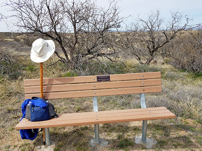 A solitary bench offers respite and reflection, with a thoughtfully placed hat stand &ndash; the desert's version of a five-star waiting room.