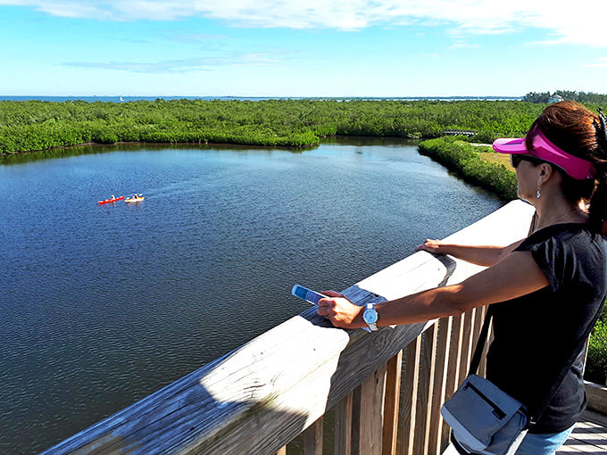 Taking in the panoramic views from the tower deck &ndash; where binoculars are optional but wide-eyed wonder comes standard.