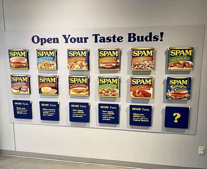 A rainbow of SPAM&reg; varieties proves that innovation comes in many flavors, from classic to jalape&ntilde;o to flavors you didn't know existed.