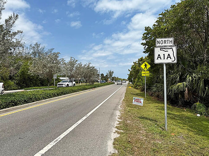 Palm trees stand sentinel along A1A in Jensen Beach, where the road offers glimpses of turquoise waters between tropical greenery.