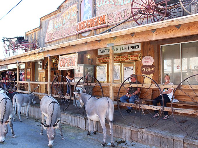 It ain't food if it ain't fried &ndash; words to live by at this classic Oatman eatery where burros wait hopefully for leftovers.