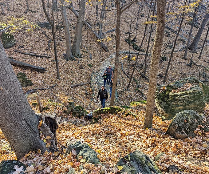 Autumn transforms the trail into a crunchy carpet of leaves, perfect for that satisfying shuffle-walk that makes you feel like a kid again.