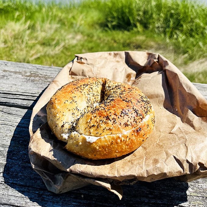 Behold the cream cheese bagel in its natural habitat, resting on weathered wood with dunes in the background, living its best coastal Maine life.