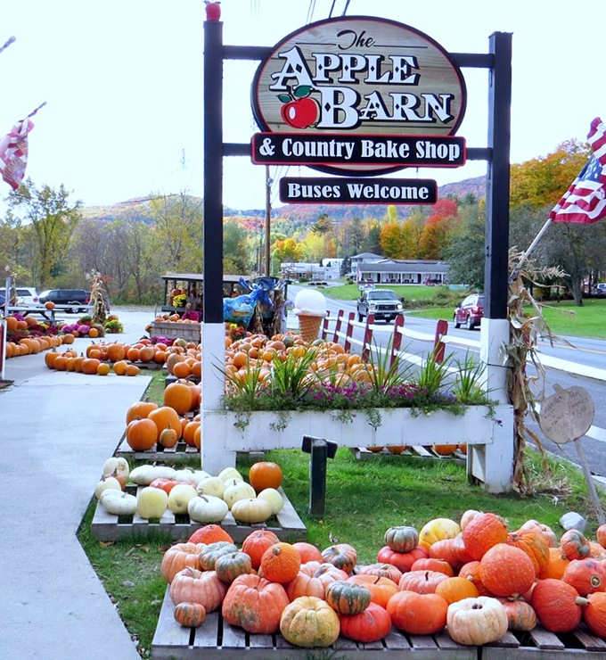 Against Vermont's autumn canvas, this charming sign stands guard over a pumpkin patch that would make Linus proud.