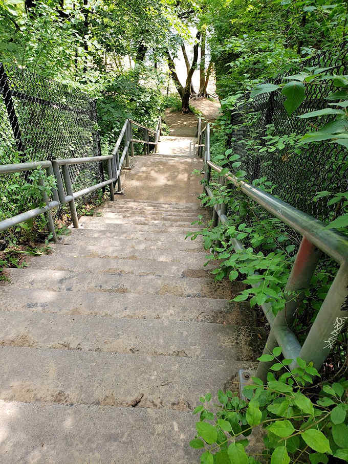 Descending into adventure one step at a time, this stairway promises riverside treasures for those willing to make the journey.