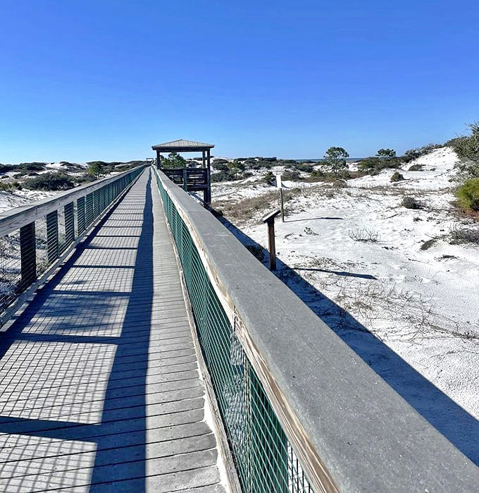 This wooden boardwalk isn't just functional&mdash;it's protecting fragile dunes while leading visitors to beach bliss.