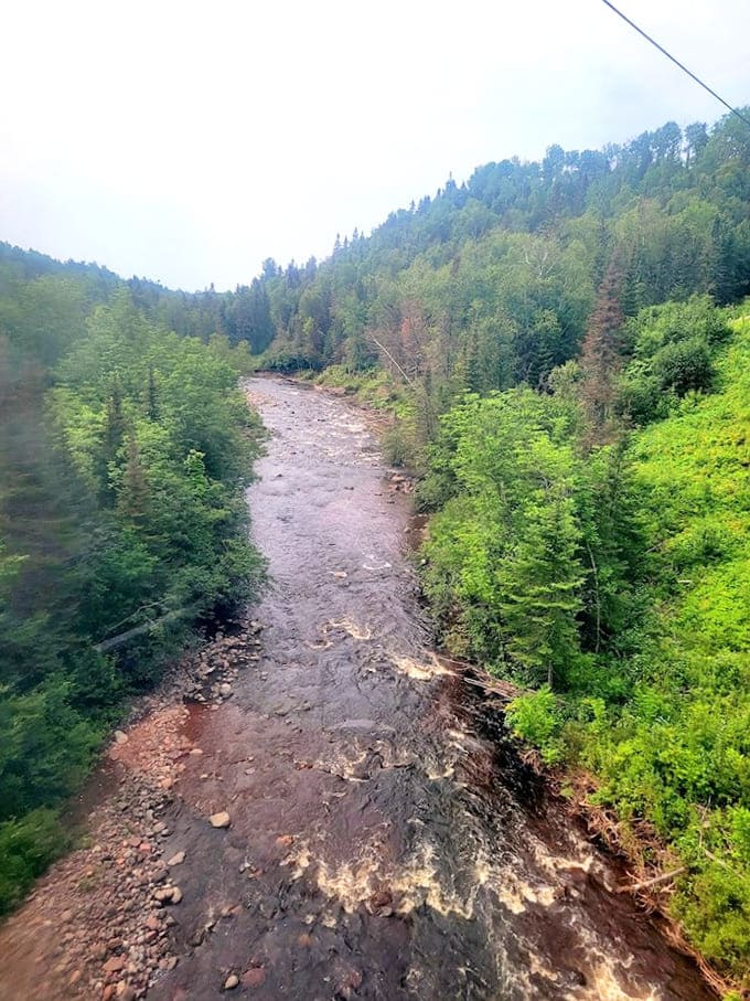 Looking down at the river from your gondola cabin makes you feel like a bird, minus the whole flapping-your-arms-exhaustedly thing.
