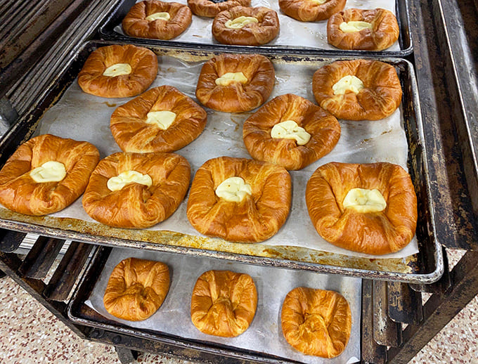 Golden kolaches lined up like buttery soldiers, each one a flaky testament to proper pastry technique and patience.