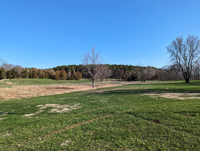 Heritage Park provides peaceful green space perfect for picnics, with pavilions offering shelter and spots to simply breathe in the fresh air.