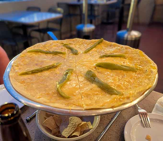 Behold the Cheese Crisp in all its golden glory, a masterpiece of melted cheese and crispy tortilla that'll haunt your dreams forever.