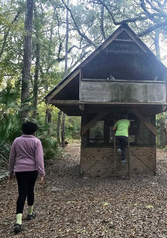Rustic shelters dot the trail, providing perfect spots to rest, refuel, and contemplate why you don't do this more often.