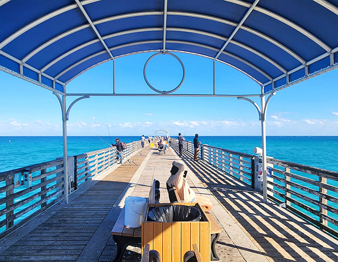 The historic pier buzzes with activity as anglers and dreamers share the same wooden planks. Some come for fish, others for perspective.