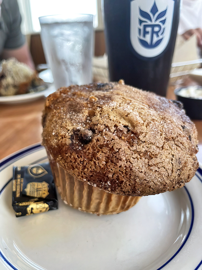 Dolphin Marina's famous blueberry muffin is a Maine tradition. That perfect sugary crust is waiting for your breakfast treat!