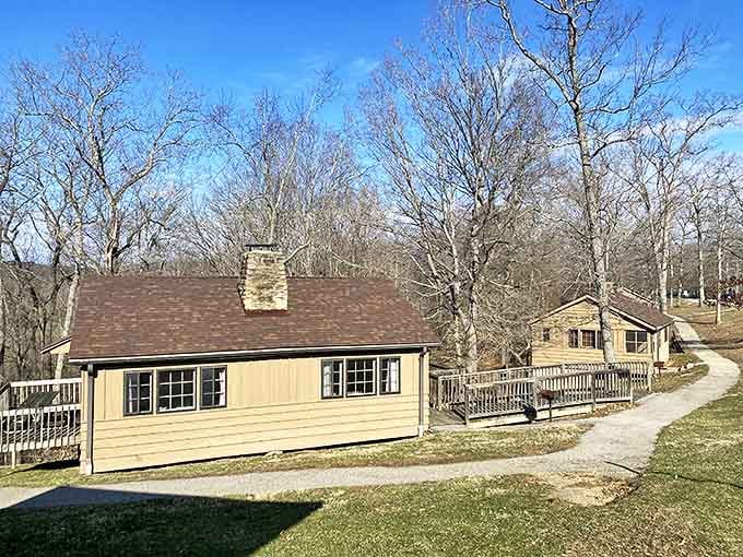 Rustic cabins nestled among towering trees offer that perfect "away from it all" feeling without sacrificing basic comforts.