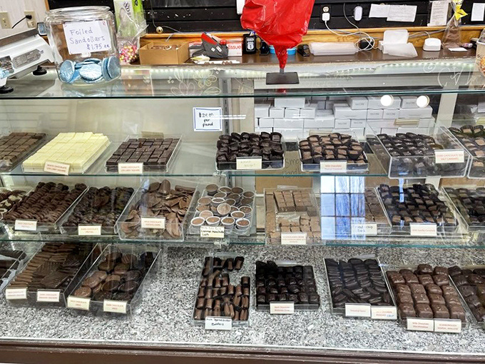 A chocolate lover's dream display case &ndash; each perfectly arranged row tells a story of craftsmanship that spans generations.