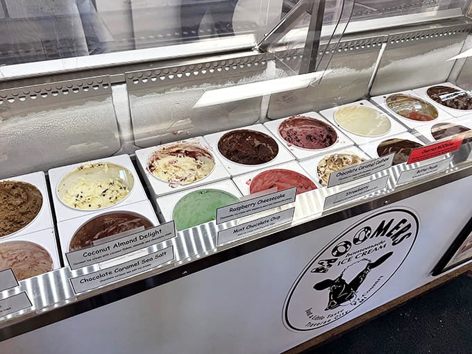 Homemade ice cream flavors: The display case reveals a rainbow of frozen possibilities &ndash; each tub a different adventure waiting to happen to your taste buds.