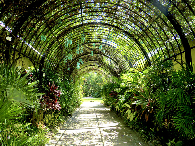 Sunlight dapples through this living green tunnel, creating nature's own stained-glass effect on the garden path below.
