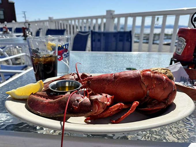 A Maine lobster in all its crimson glory, perfectly steamed and waiting to surrender its sweet meat to lucky diners with a view of Lake Champlain.
