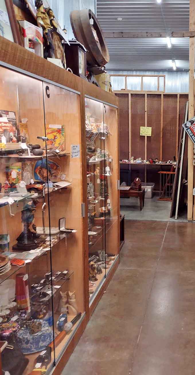 Display cases organized with the precision of a museum curator showcase collections that tell stories of American domestic life through the decades.