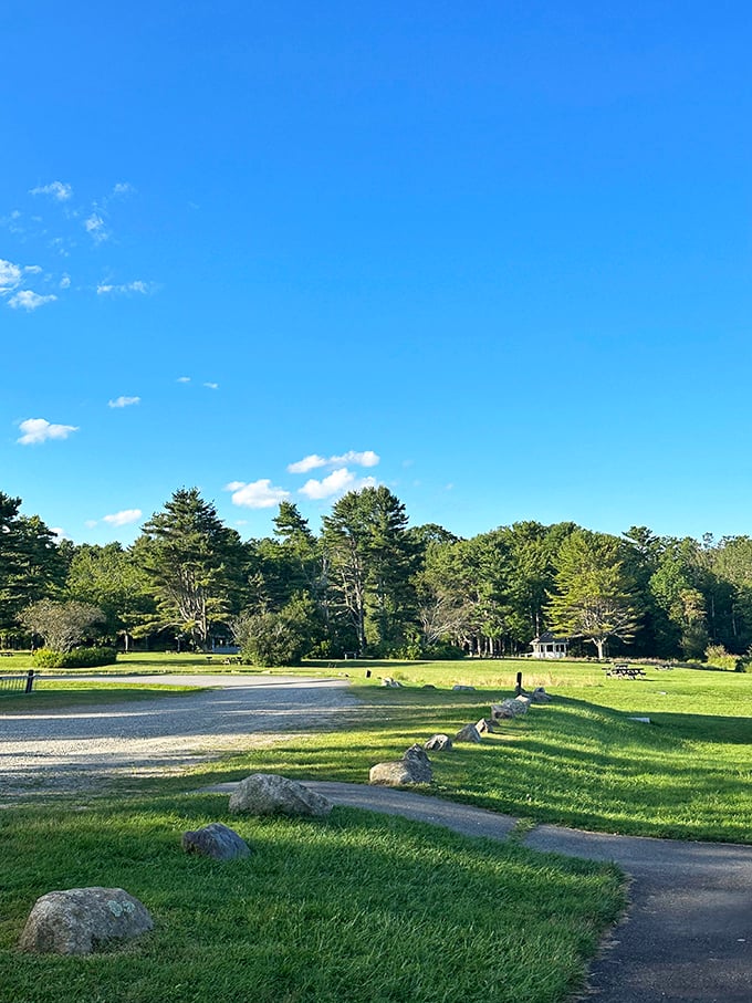 The park's open meadow welcomes picnickers and daydreamers alike, with granite boulders standing sentinel under Maine's brilliant blue skies.